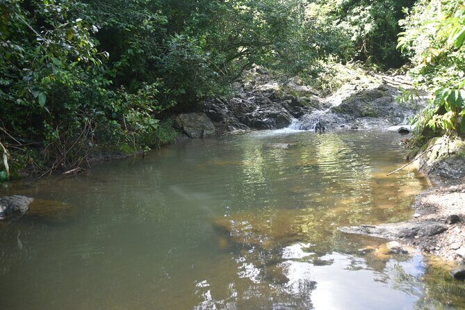 Puerto Rico Waterfall Hiking Tour: Discover Hidden Gems 2.0 - FAQ