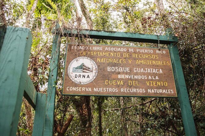 Puerto Rico West Coast Self Guided Tour - Authentic Experiences and Traveler Feedback