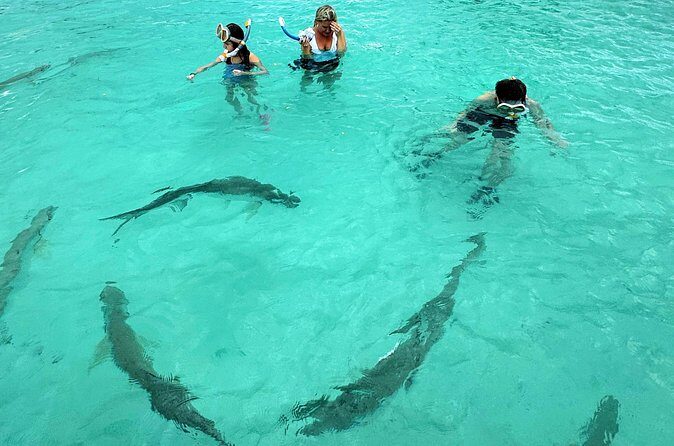 Puerto Rico's Only Private, VIP & Filmed Bio Bay Swim Experience - FAQ