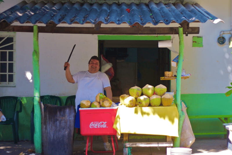 Puerto Vallarta 3-Hour Food Tour of Authentic Local Cuisine - Drinks and Sweets: A Complete Feast