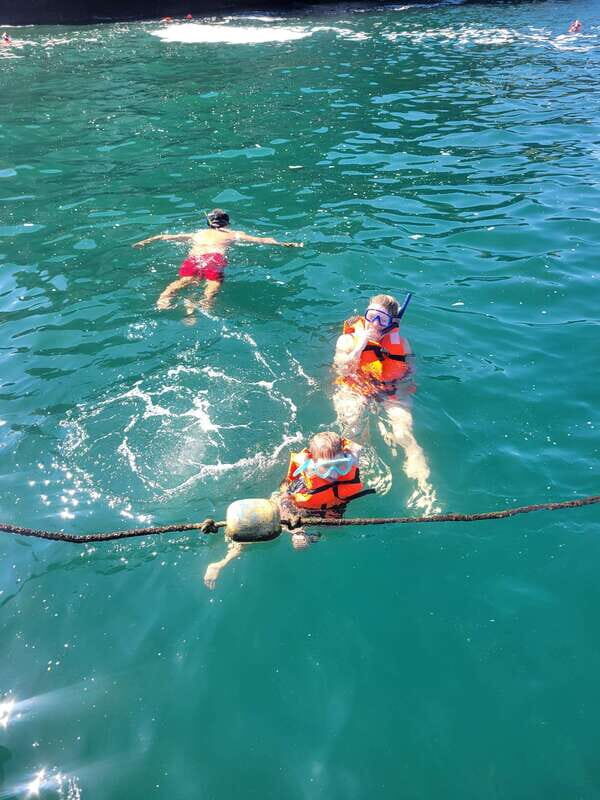 Puerto Vallarta: 3-Hour Whale Watching and Snorkeling - FAQ