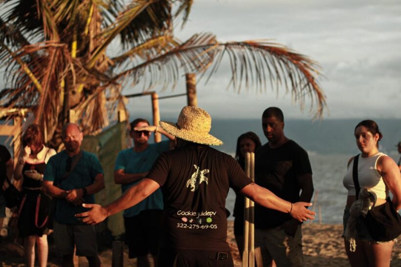 Puerto Vallarta: Baby Turtle Release in Conservation Area - Whats Included and Whats Not