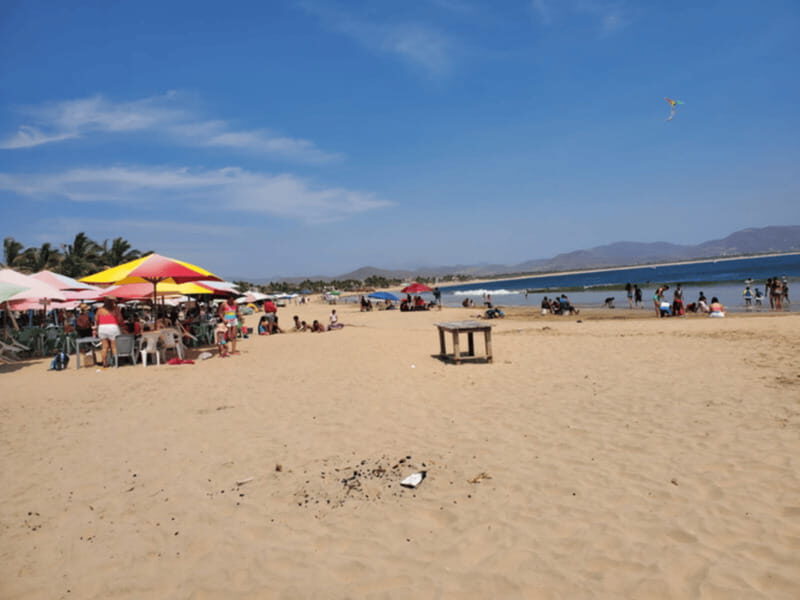 Puerto Vallarta: Beach Tour Experience - Puerto Vallarta: Beach Tour Experience