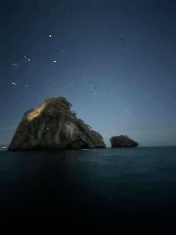 Puerto Vallarta: Bioluminescence in Los Arcos Marine Park - Puerto Vallarta: Bioluminescence in Los Arcos Marine Park