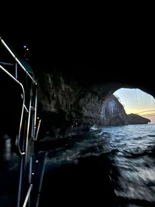 Puerto Vallarta: Bioluminescence in Los Arcos Marine Park - Key Points