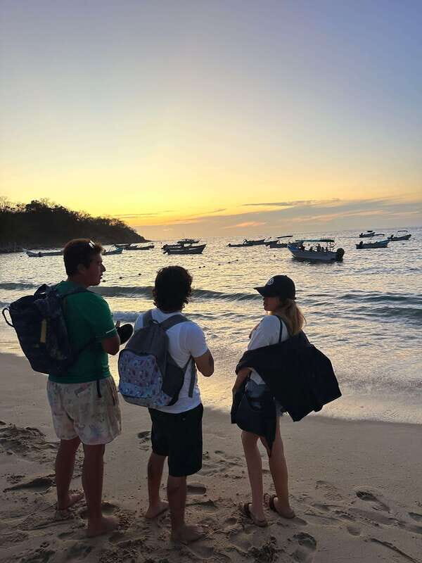 Puerto Vallarta: Bioluminescence in Los Arcos Marine Park - The Itinerary: Step by Step