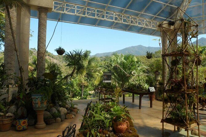 Puerto Vallarta Botanical Garden Tour with University Biologist - Key Points