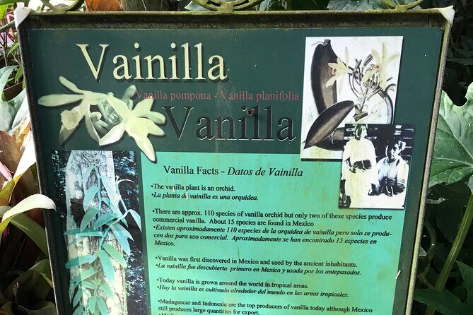 Puerto Vallarta Botanical Garden Tour with University Biologist - The Sum Up: Is This Tour Right for You?