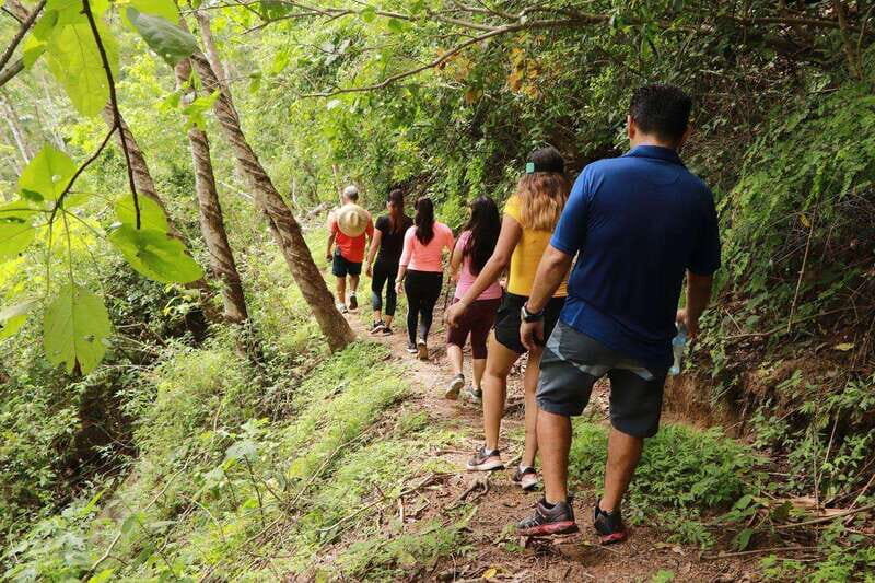 Puerto Vallarta: Botanical Garden Walking Tour - Key Points
