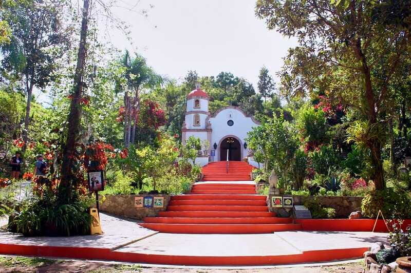 Puerto Vallarta: Botanical Gardens, Distillery & Coffee Tour - The Sum Up