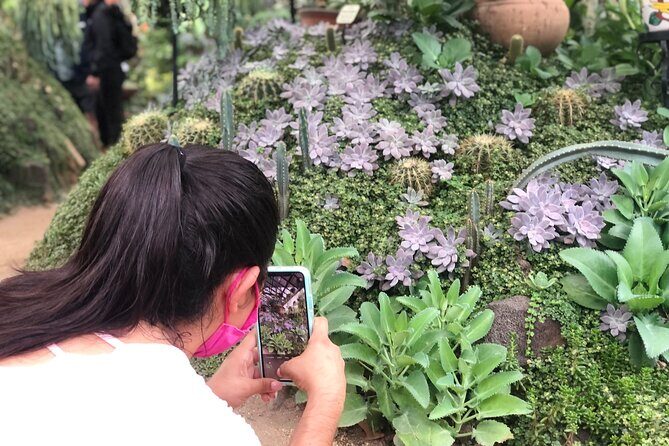 Puerto Vallarta Botanical Gardens Hiking Tour - A Detailed Look at the Puerto Vallarta Botanical Gardens Hiking Tour