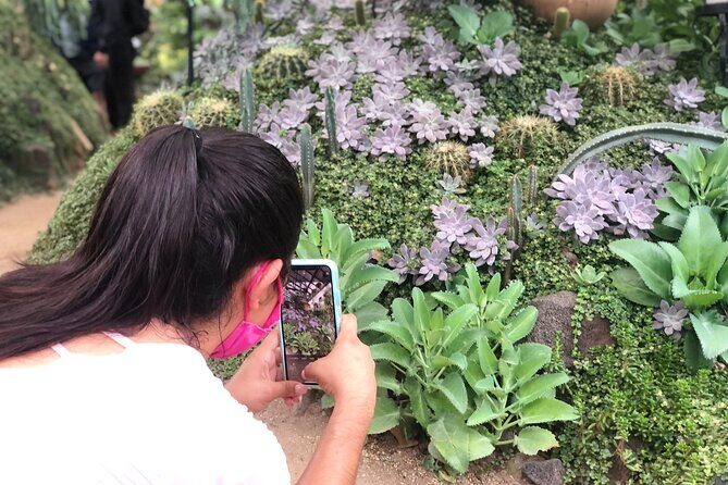 Puerto Vallarta Botanical Gardens Hiking Tour - Who Will Enjoy This Tour