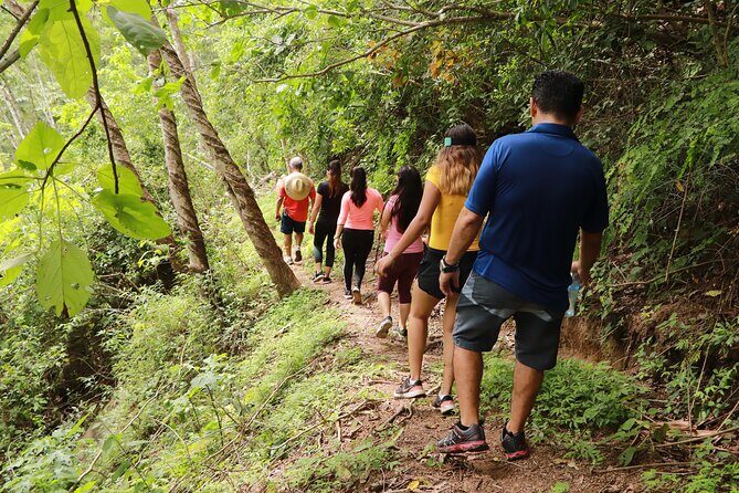Puerto Vallarta Botanical Gardens Hiking Tour - FAQ