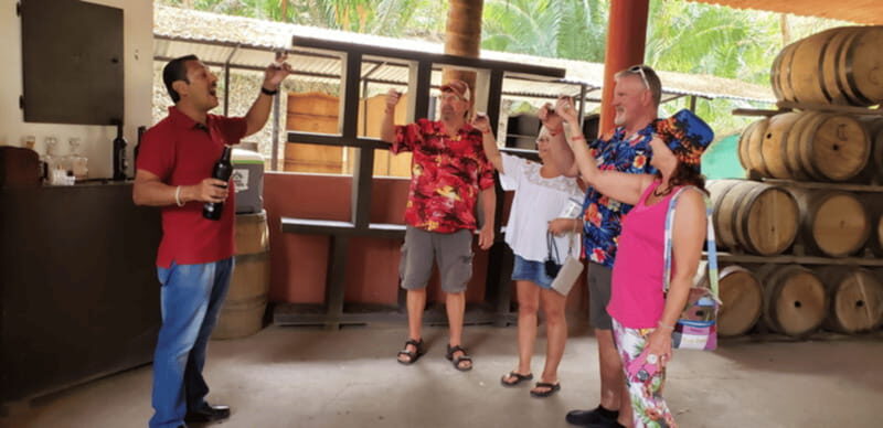 Puerto Vallarta: City Tour - Introduction