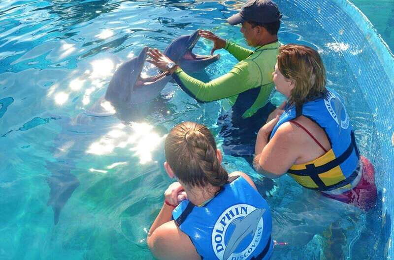 Puerto Vallarta: Dolphin Royal Swim at Aquaventuras Park - Key Points