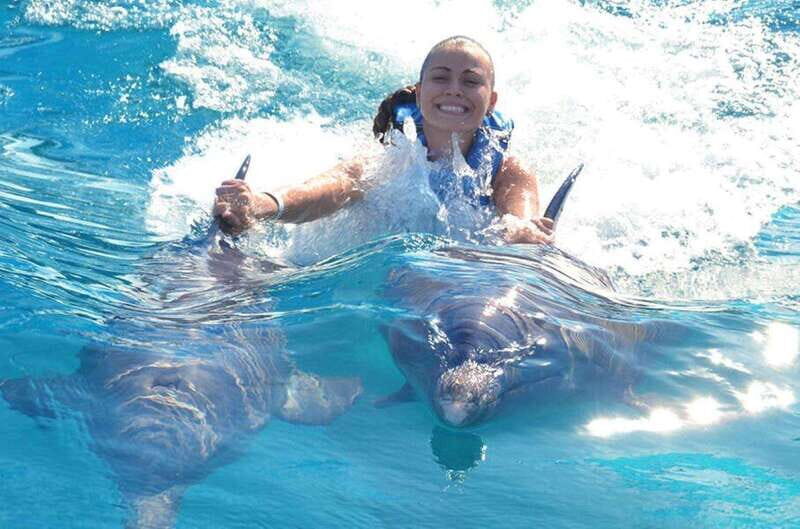 Puerto Vallarta: Dolphin Royal Swim at Aquaventuras Park - Overview of the Experience