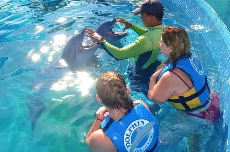 Puerto Vallarta: Dolphin Royal Swim at Aquaventuras Park - Practical Details and Considerations