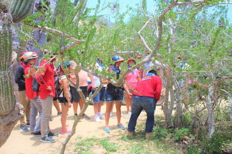 Puerto Vallarta: El Eden Horseback Riding - Exploring the Itinerary in Detail
