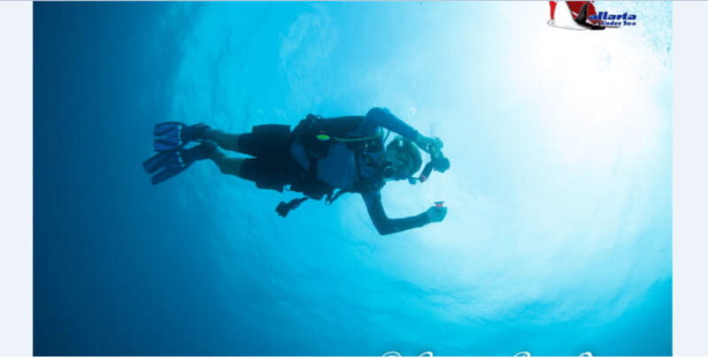 Puerto Vallarta: Exclusive Dive Adventure - An In-Depth Look at the Puerto Vallarta Dive Adventure