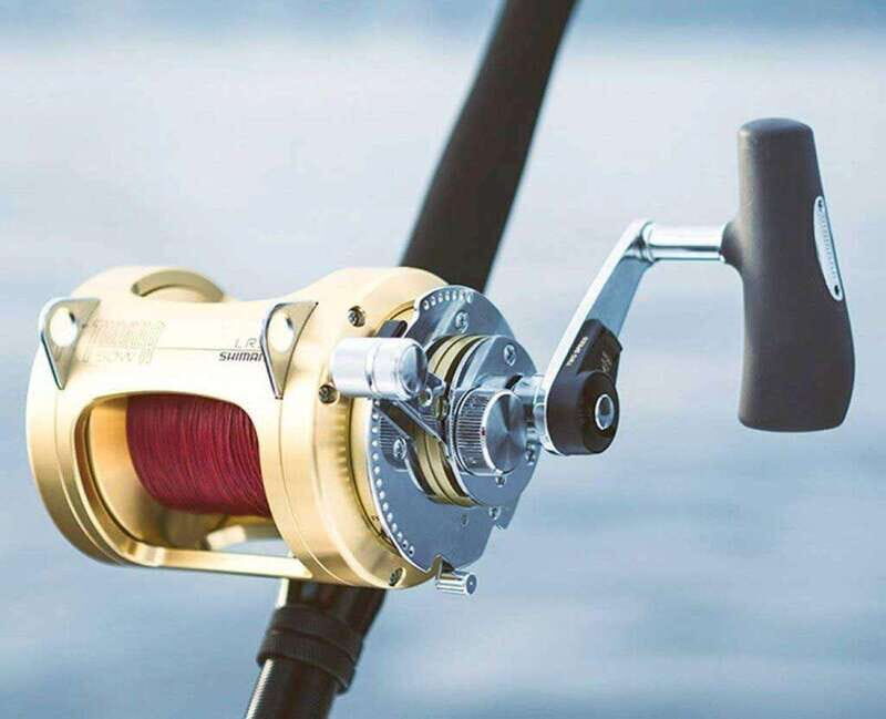 Puerto Vallarta: Fishing Cachi I 28 - Key Points