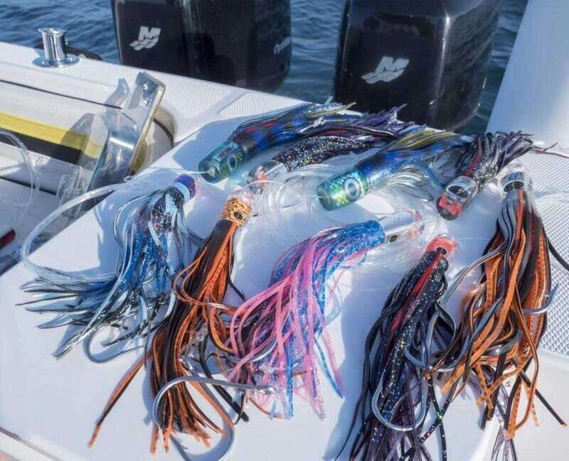 Puerto Vallarta: Fishing Lucky I 28 - Frequently Asked Questions