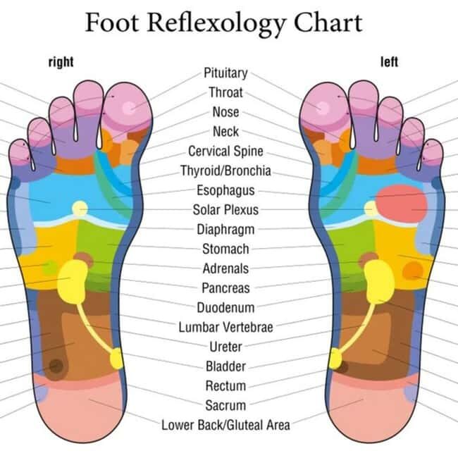 Puerto Vallarta: Foot Reflexology and Tired Legs Massage - Is It Worth the Price?