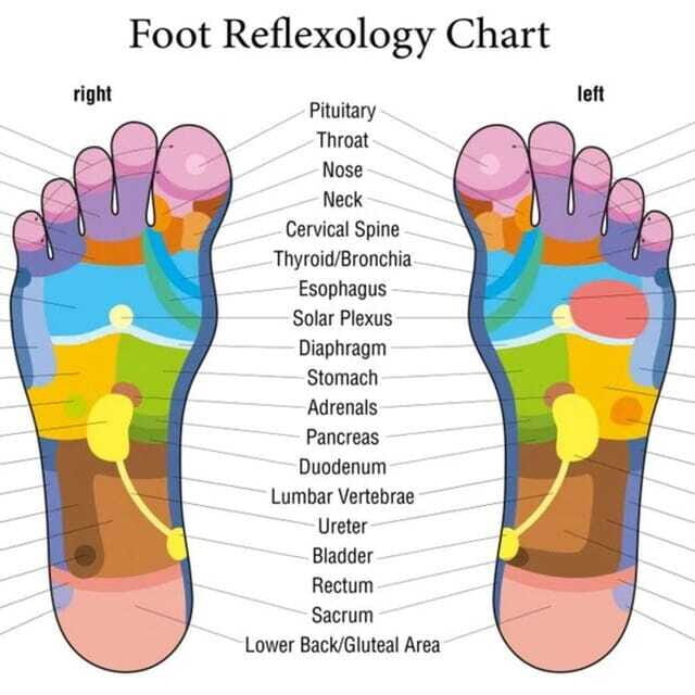 Puerto Vallarta: Foot Reflexology and Tired Legs Massage - The Experience Breakdown: Day in the Life