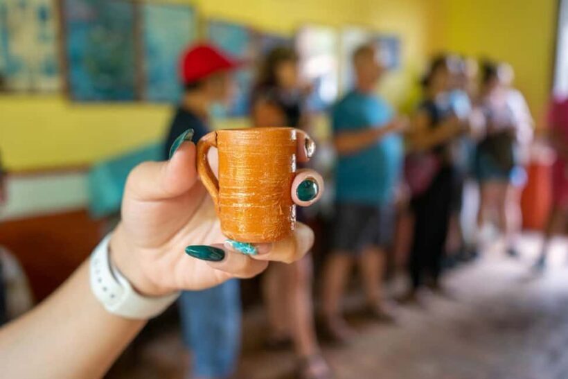 Puerto Vallarta: Guided San Sebastian Tour - Who Should Consider This Tour?