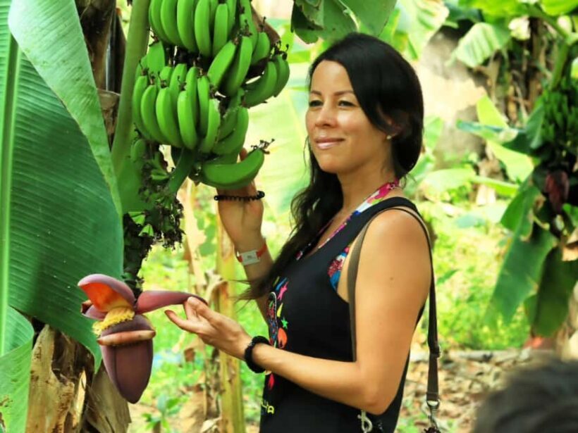 Puerto Vallarta: Hands-on Farm Experience from Cow to Cheese - What Our Reviewers Say