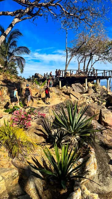 Puerto Vallarta: Hiking Trail, 6 Hidden Beaches & Zipline. - What Travelers Say