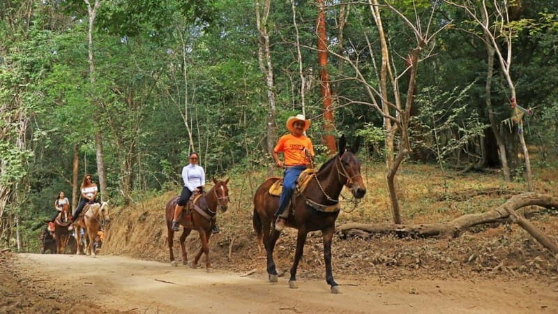 Puerto Vallarta: Horseback Riding Adventure at Canopy River - The Value for Travelers