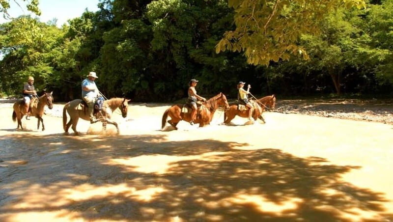Puerto Vallarta: Horseback Riding at Hacienda Doña Engracia - Safety and Practical Considerations
