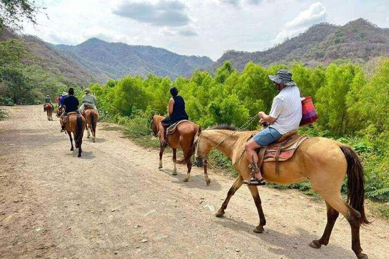 Puerto Vallarta: Horseback Riding, Lunch & Unlimited Drinks - An Overview of the Experience
