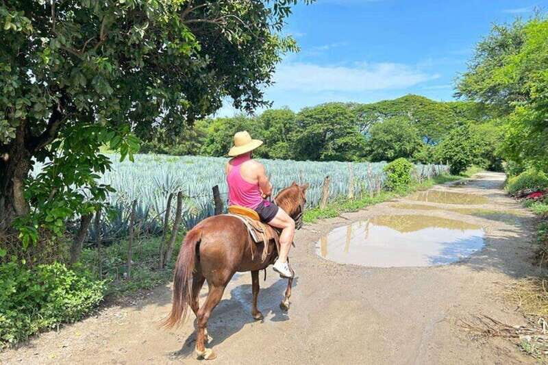 Puerto Vallarta: Horseback Riding, Lunch & Unlimited Drinks - The Mexican BBQ and Unlimited Drinks