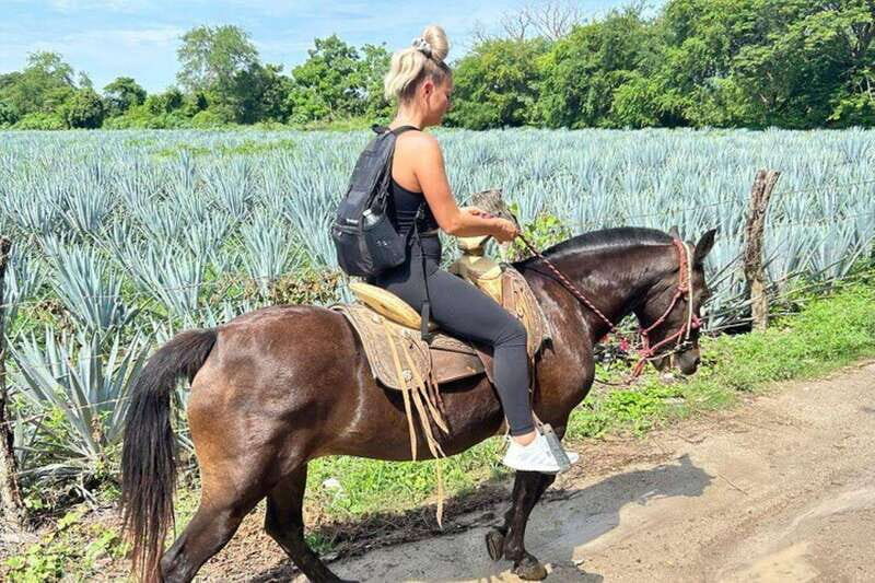 Puerto Vallarta: Horseback Riding, Lunch & Unlimited Drinks - Practical Details and Logistics