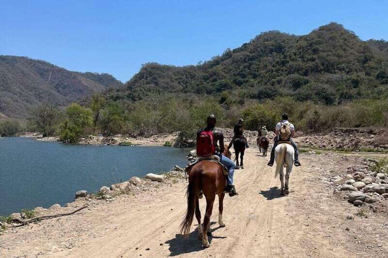 Puerto Vallarta: Horseback Riding, Lunch & Unlimited Drinks - The Sum Up