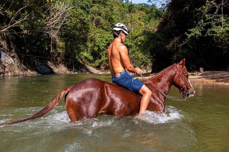 Puerto Vallarta Horseback Riding - The River Swim: A Unique Highlight