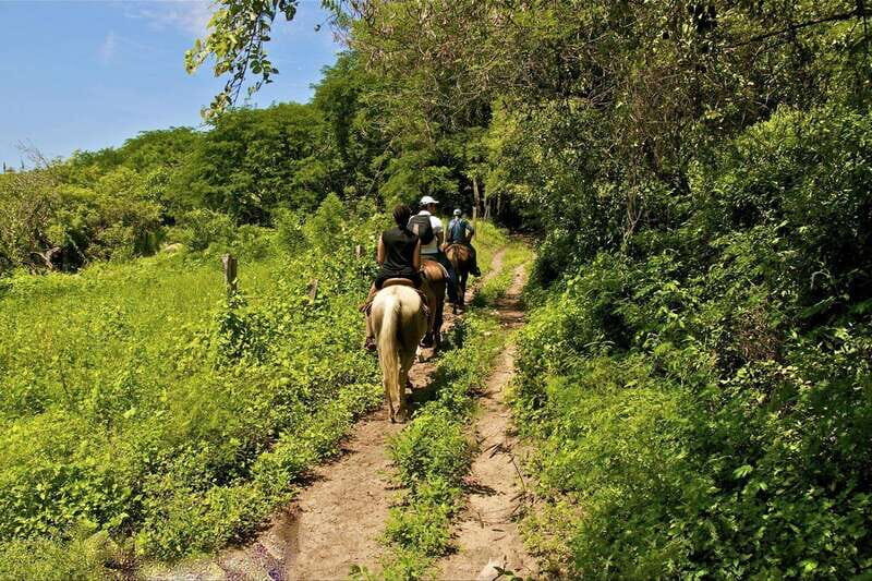 Puerto Vallarta Horseback Riding - Practical Details: What You Need to Know