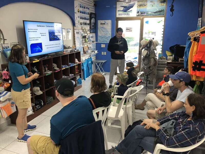 Puerto Vallarta: Humpback Whale Research Adventure Tour - Key Points