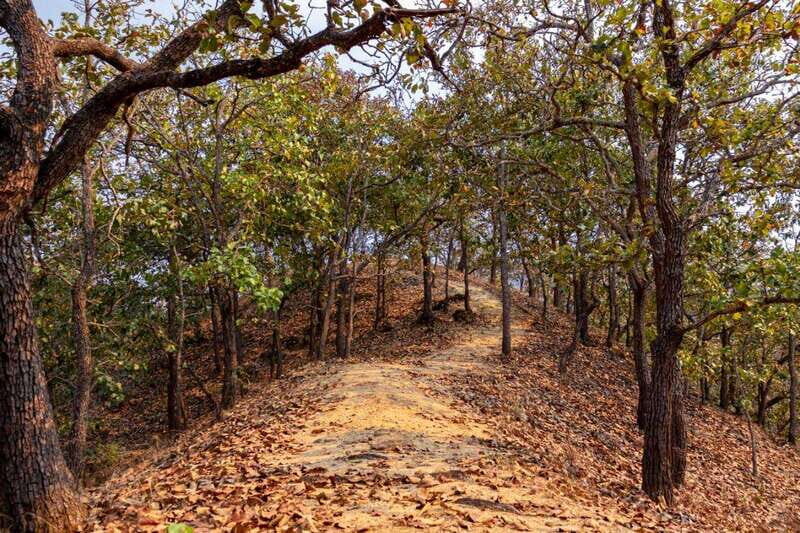 Puerto Vallarta: Jorullo Paradise Hiking Adventure - What’s Included and What’s Not