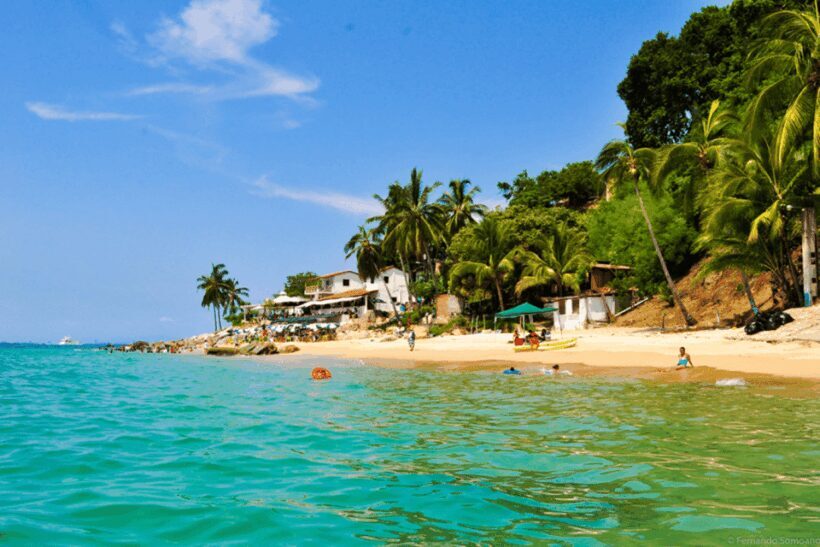 Puerto Vallarta: Los Arcos, Ánimas, and Quimixto Boat Tour - Key Points