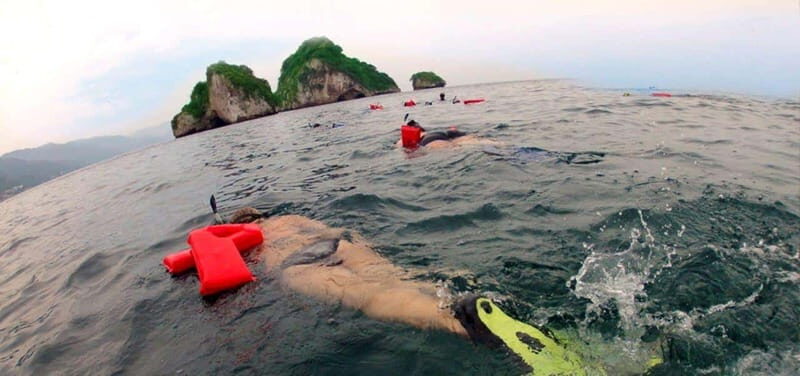 Puerto Vallarta: Los Arcos Snorkeling Tour - Equipment and Safety: What’s Included?
