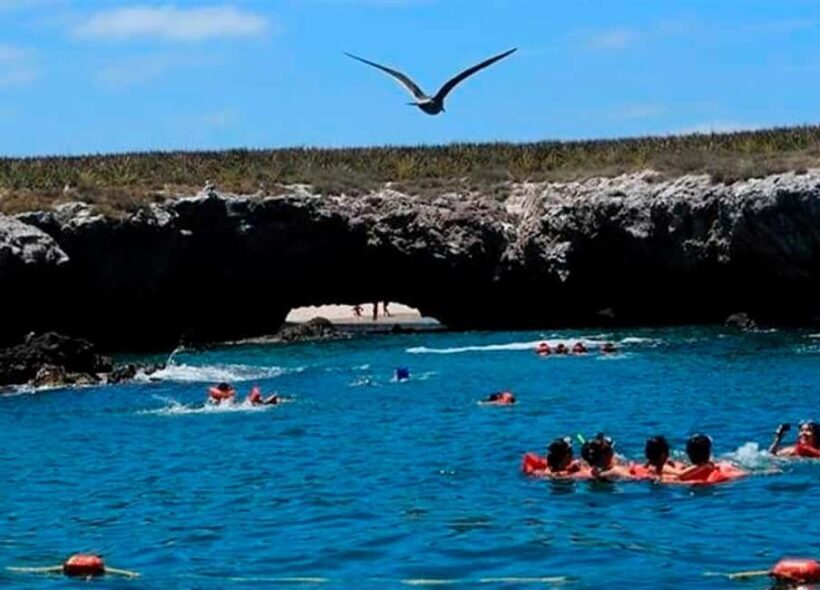 Puerto Vallarta: Marietas Islands Experience - What is the Puerto Vallarta: Marietas Islands Experience?