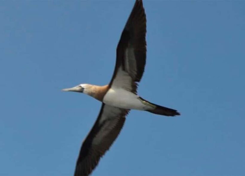 Puerto Vallarta: Marietas Islands Experience - The Real Value of the Tour