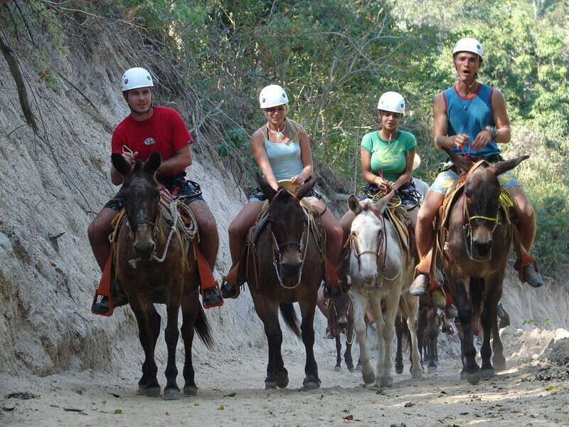 Puerto Vallarta: Outdoor Ziplines and Rappel Adventure - The Experience: A Play-by-Play Breakdown