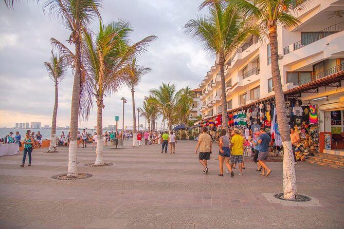 Puerto Vallarta Private Art Tour - FAQs