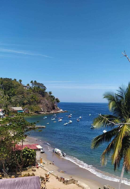 Puerto Vallarta: Private Boat Trip to Yelapa with Snorkeling - FAQ