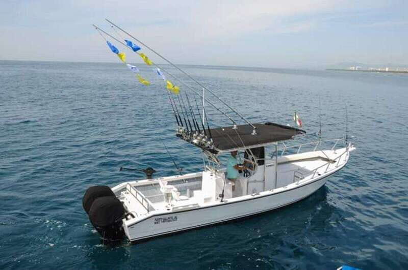 Puerto Vallarta: Private Ocean Adventure - FAQs