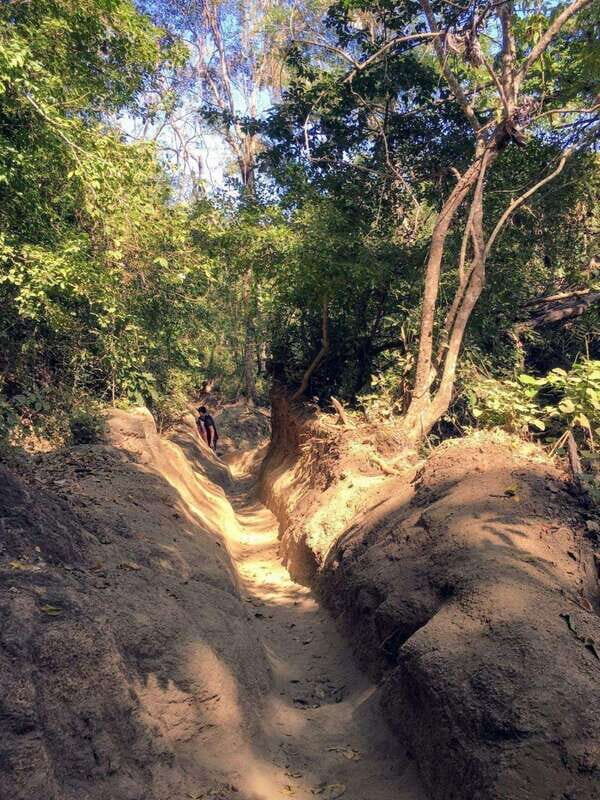 Puerto Vallarta: Private Tour Hiking Quimixto Waterfall - Key Points