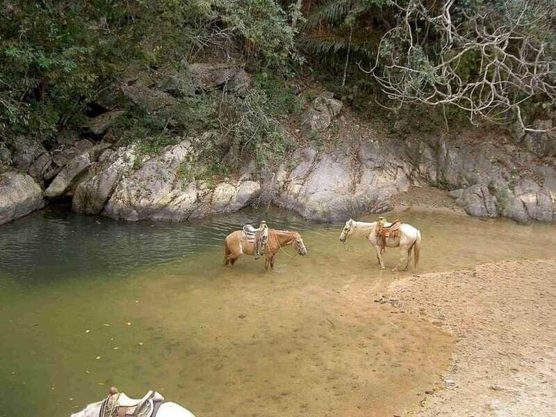 Puerto Vallarta: Private Tour Hiking Quimixto Waterfall - FAQ